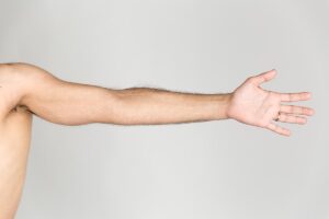 Anatomy of the Arm: Bone, Muscles, and Radiology